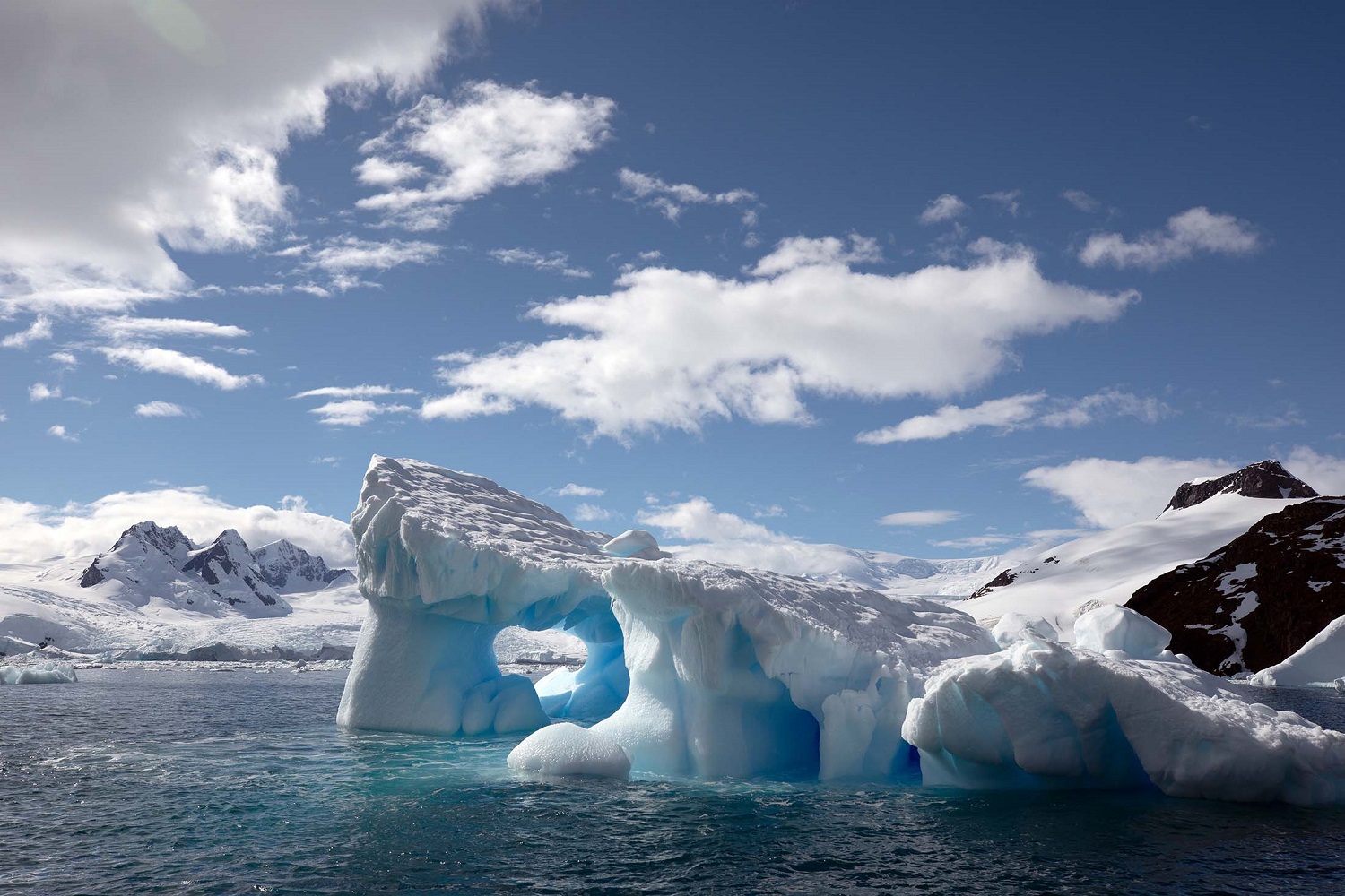 Cierva Cove: Breathtaking Natural Phenomena on Display in Antarctica ...