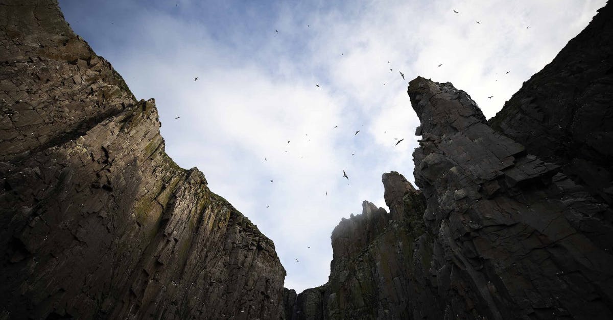 CAPE_ZODIAC2_FB.jpg?auto=compress%2Cformat&ixlib=php-3.3.1