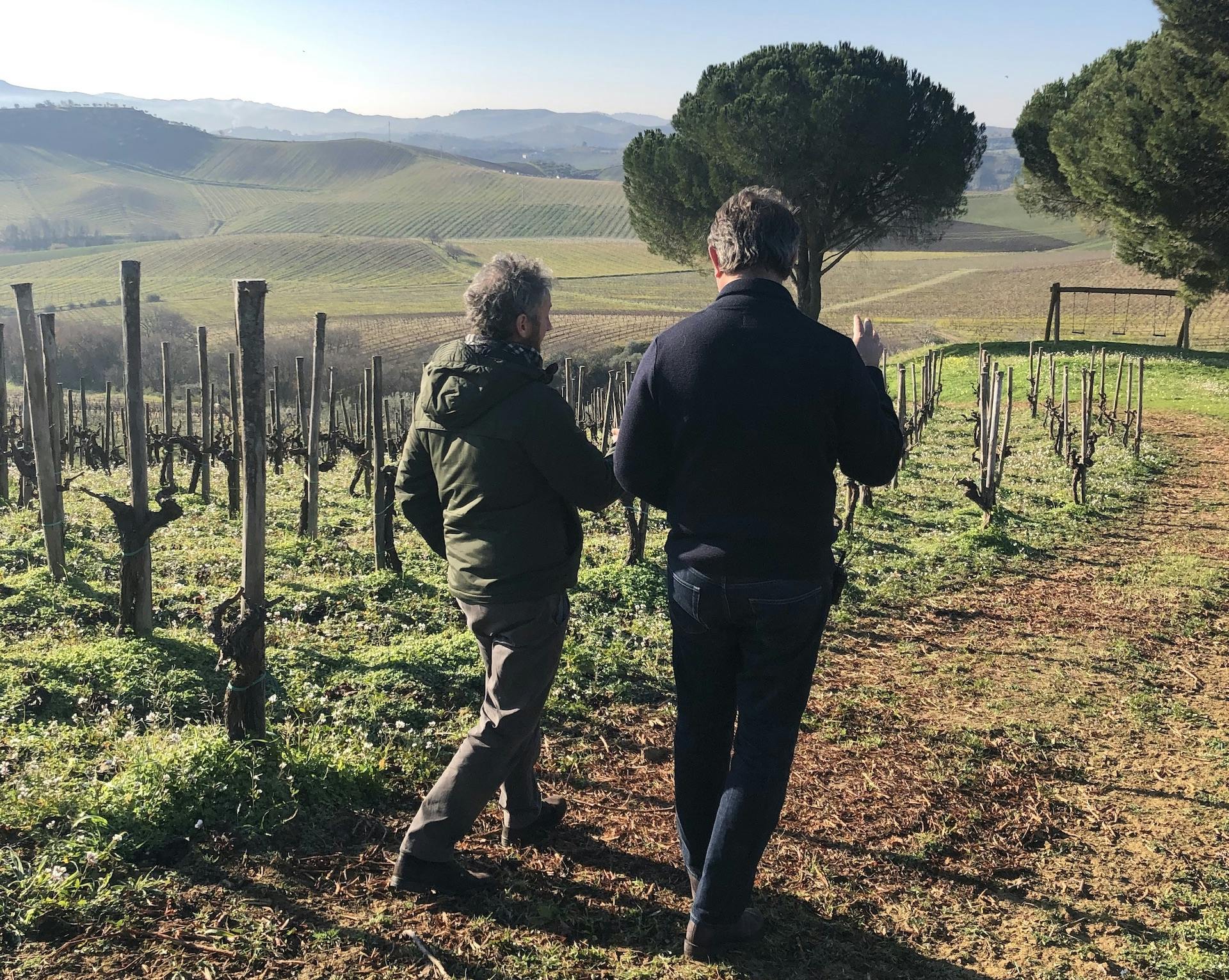 On the Culinary Trail: Savoring the Gutsy and the Sublime in Sicily ...